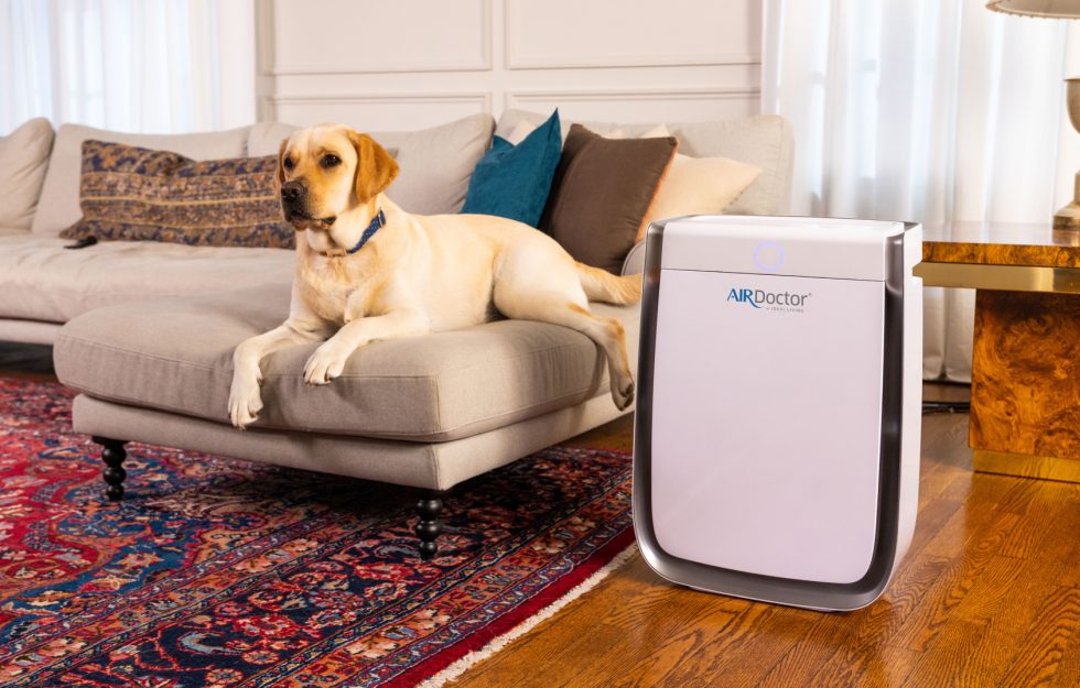 Air Purifier Cheat Sheet | Bawa and Dinesh